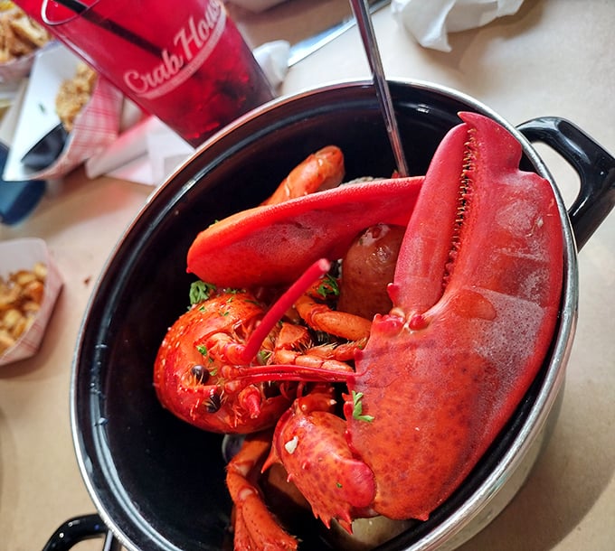 This isn't just a lobster—it's a crimson celebration in a pot. The kind of dish that demands both a bib and your undivided attention.
