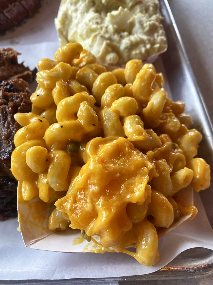 Mac and cheese that doesn't know it's a side dish – it thinks it's the main event. And honestly, who are we to argue?