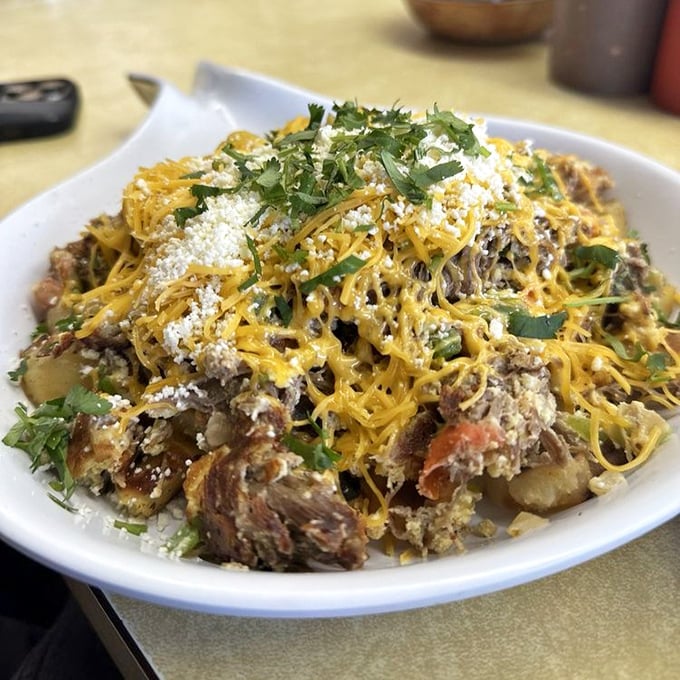 Machaca and eggs topped with melted cheese and fresh cilantro—proof that sometimes the most photogenic dishes are also the most delicious.