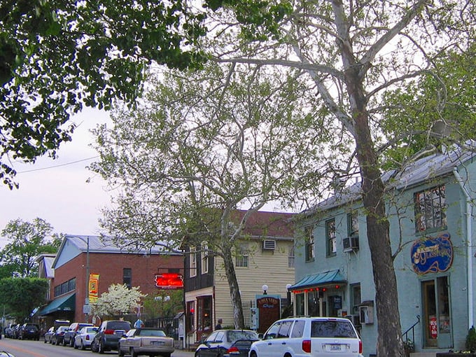 Main Street's pastel buildings and leafy canopy create the kind of streetscape Norman Rockwell would have painted—if he'd added a dash of hippie spirit.