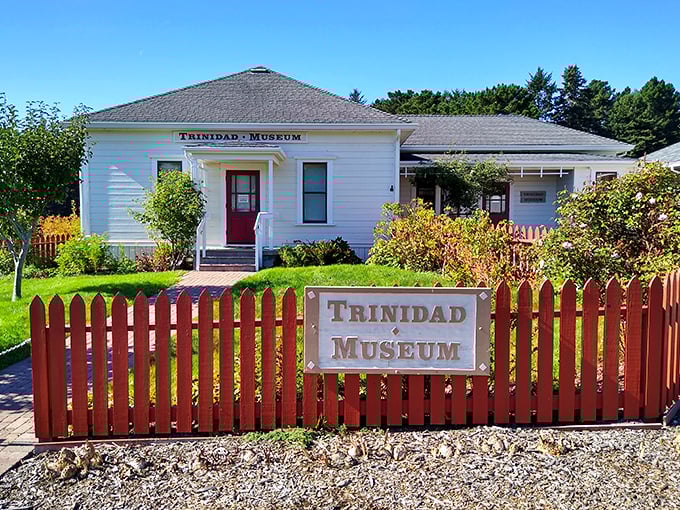 The Trinidad Museum doesn't just preserve history—it wears it like a comfortable sweater, inviting visitors to slip into stories of coastal California's colorful past.