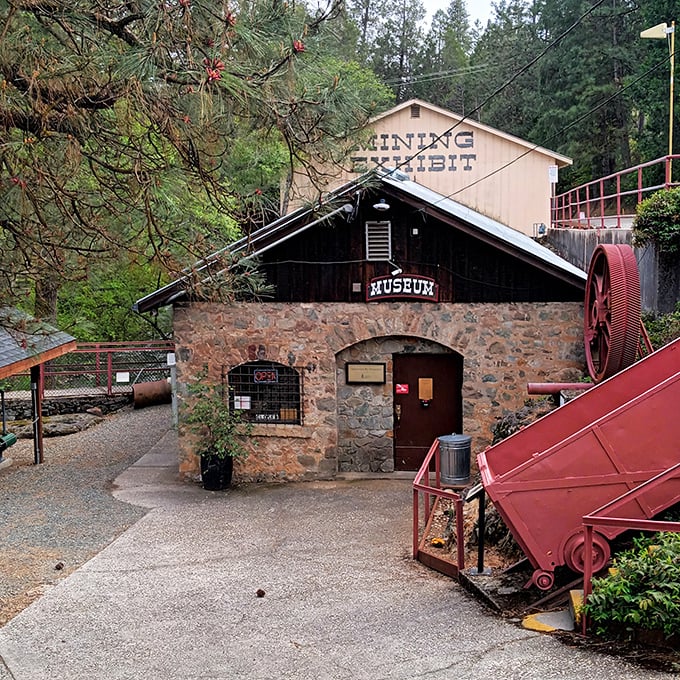 The Northstar Mining Museum isn't just a building—it's a time machine where you can experience Gold Rush history without the backbreaking labor or mercury poisoning.