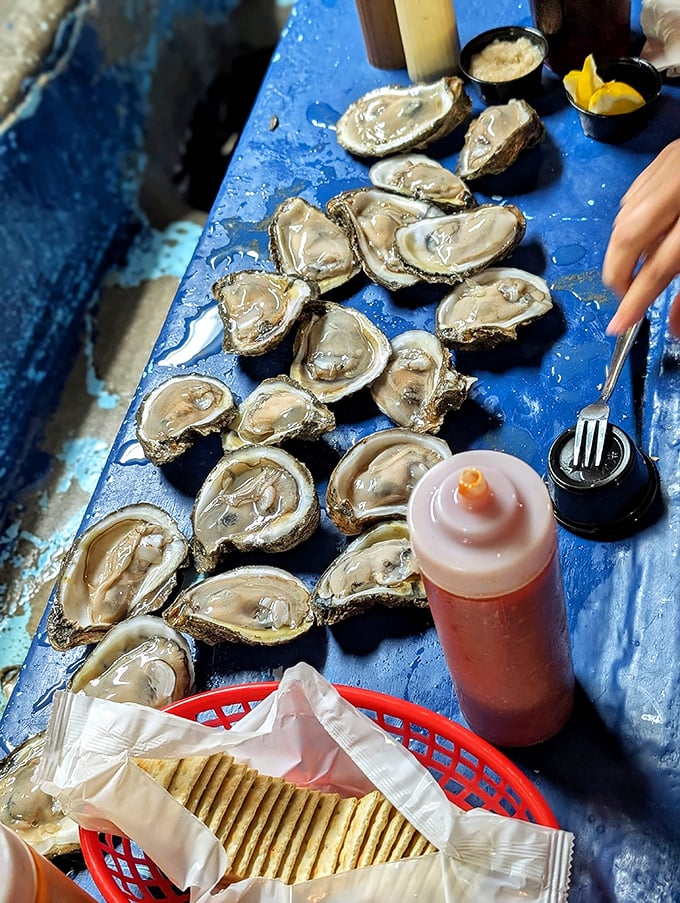 Freshly shucked oysters glisten on their half-shells—little pools of oceanic perfection waiting for just a squeeze of lemon or dash of hot sauce.