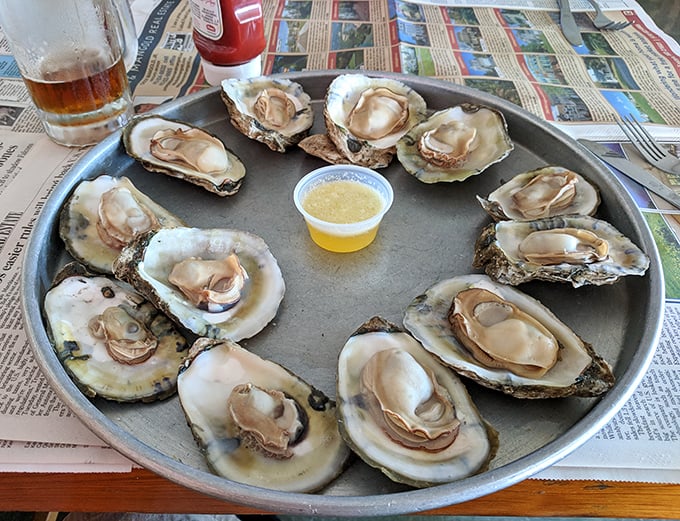 Fresh oysters on the half shell—nature's perfect appetizer, requiring nothing more than a squeeze of lemon and perhaps a touch of horseradish.
