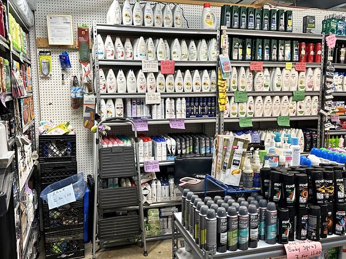 The toiletry section rivals any drugstore, proving that treasure hunting doesn't always mean antiques—sometimes it's finding that discontinued shampoo you've missed.