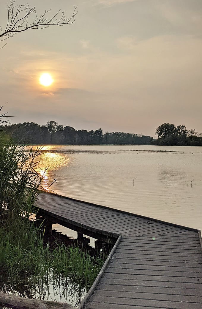 Sunset transforms the harbor into liquid gold, where wooden boardwalks lead to moments of quiet reflection and spectacular photography.