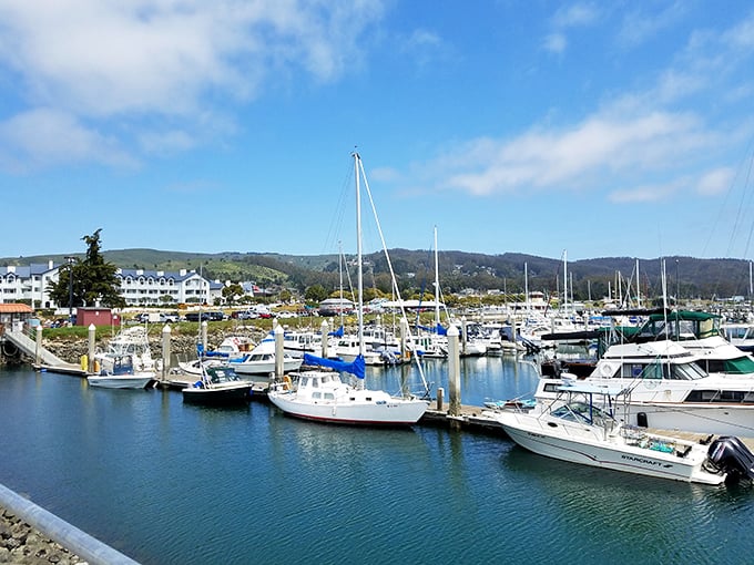 The marina – where boats bob like apples in water and sailors swap tales that grow taller with each telling.