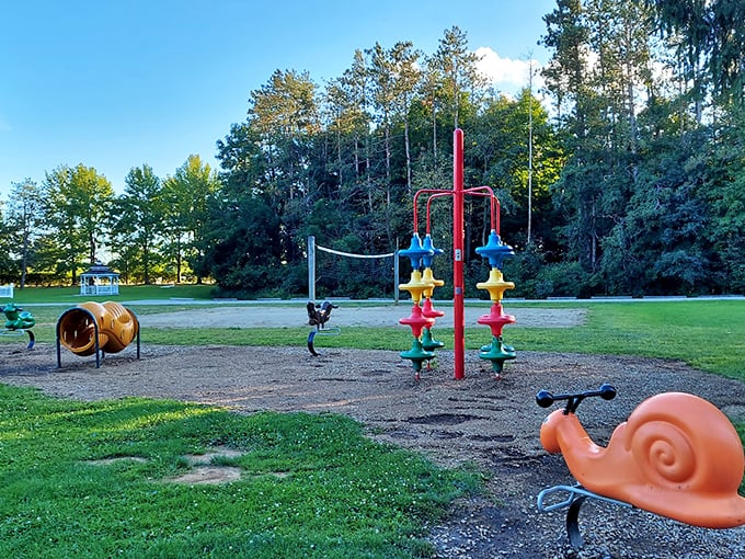 Where playground equipment meets nature - and somehow everyone gets along just fine.