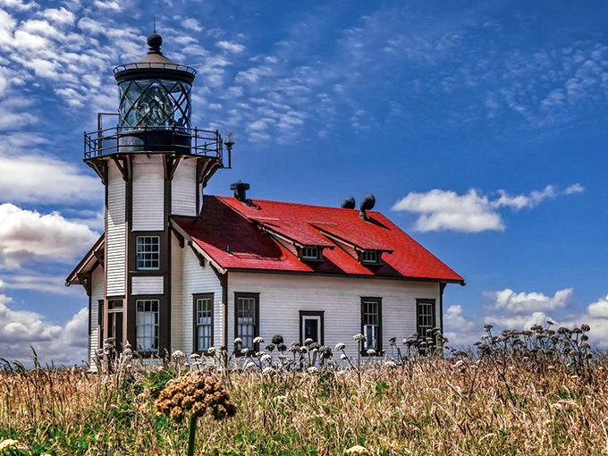 This isn't just a lighthouse—it's a time machine with a view. Point Cabrillo Light Station has been guiding sailors safely home since before Instagram made lighthouses cool.