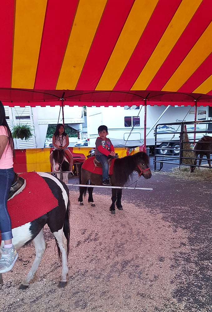 Not just shopping—it's an event! Pony rides under a circus-bright canopy prove National Wholesale Liquidators knows retail therapy should include actual therapy.