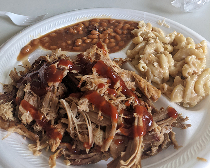 Pulled pork that's had a proper introduction to sauce—not drowning in it, just enough for a handshake that turns into a warm embrace.