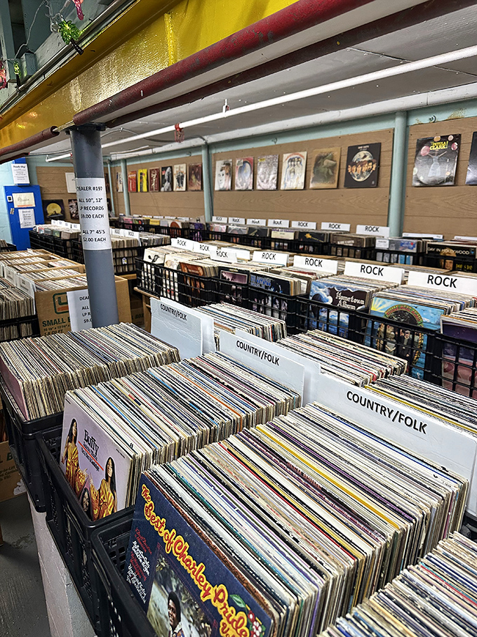 Vinyl heaven awaits the patient treasure hunter. These aren't just records—they're time capsules with soundtracks, filed under "Rock" and "Country/Folk."