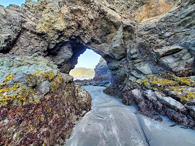 Mother Nature's stone archway frames the Pacific like a portal to another world. No admission fee, just perfect timing with the tides.