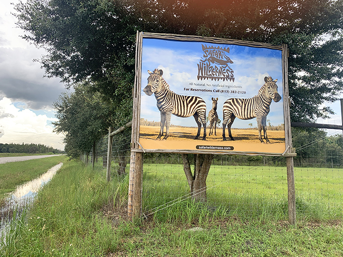 Safari Wilderness promises wild encounters that won't require explaining awkward situations to your insurance company.