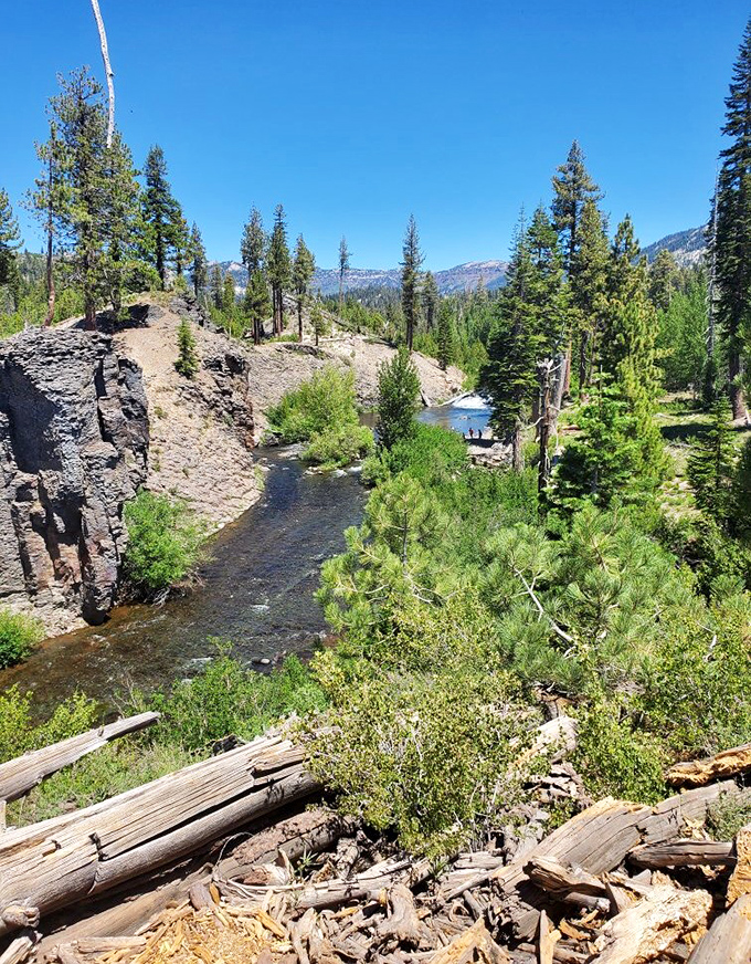 Follow the San Joaquin River's gentle flow – it knows exactly where the magic happens.