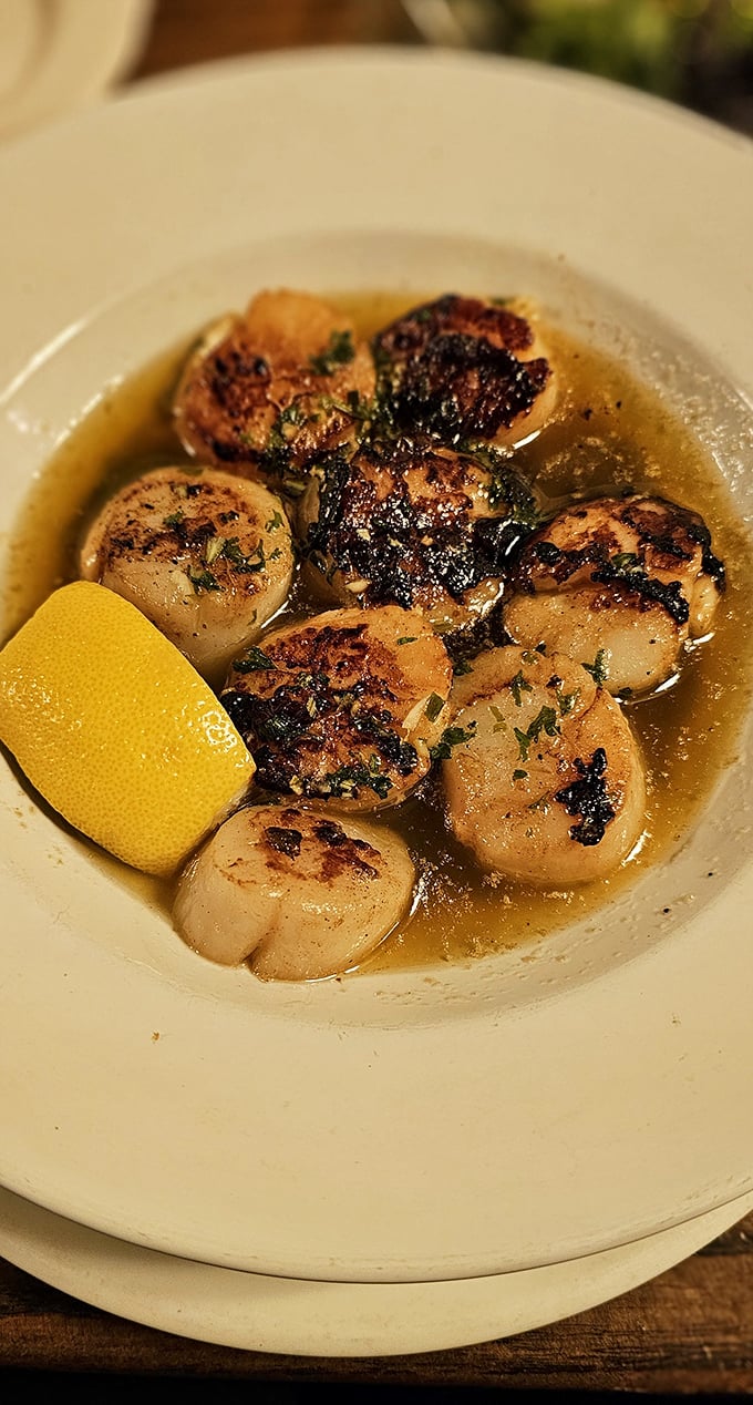 These seared scallops swimming in buttery broth aren't just seafood—they're little ocean medallions that somehow found their culinary destiny in rural Ohio.