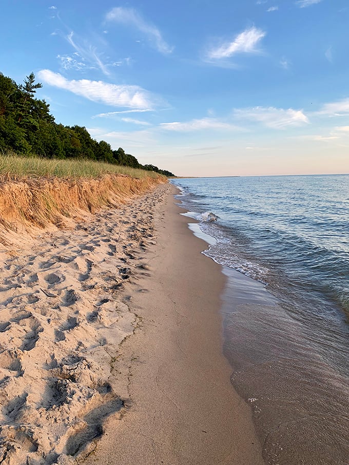 Where land meets water in that perfect golden ribbon of sand, a borderland between two worlds that somehow feels like home.