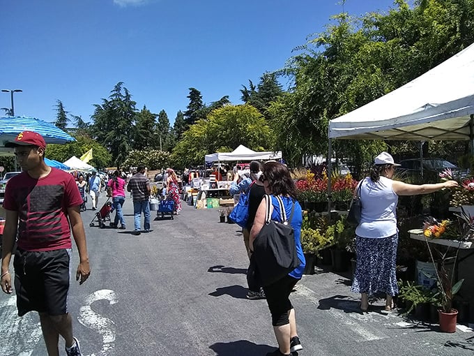 The unofficial California cardio: power-walking between plant vendors while balancing a coffee and mentally rearranging your living room to fit new finds.