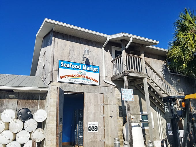 Southern Cross Sea Farms stands as a testament to Cedar Key's clam industry – where "farm-to-table" means the ocean is literally your backyard garden.