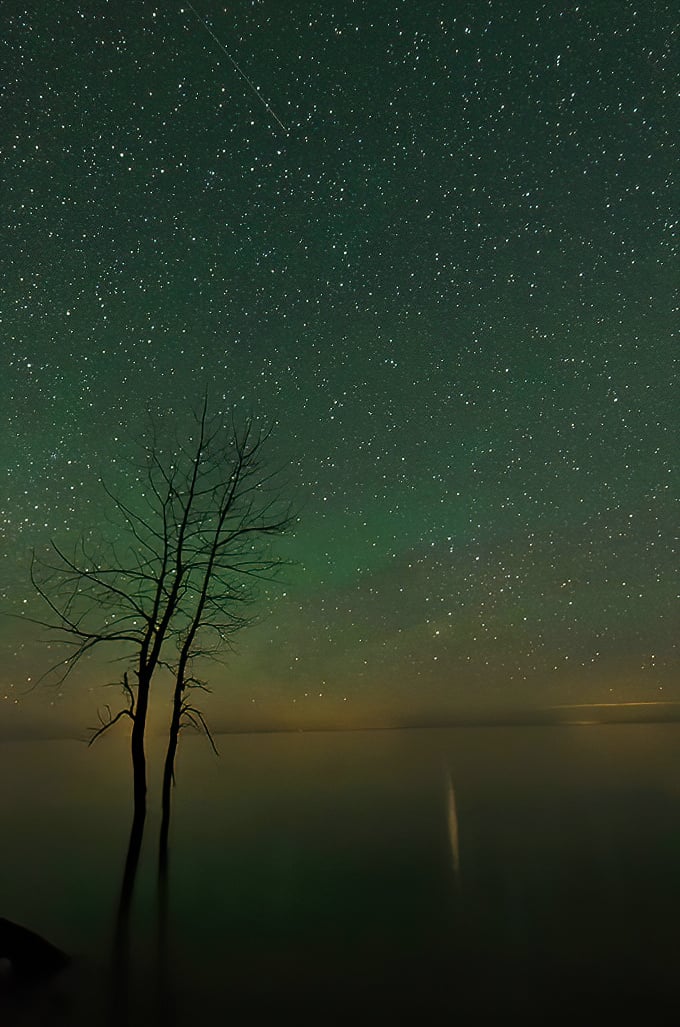 The night sky at Newport doesn't just have stars—it has ALL the stars. City dwellers often gasp at their first glimpse.