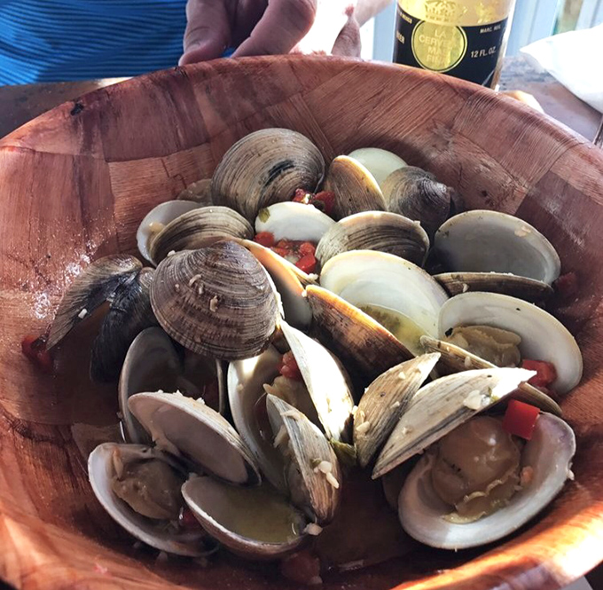 These steamed clams aren't just having a spa day—they're preparing for their grand entrance into culinary heaven. Steam rises like applause.