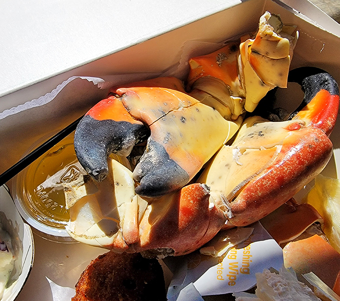 Stone crab claws served with the simplicity they deserve. Nature's perfect design meets Florida's perfect preparation.