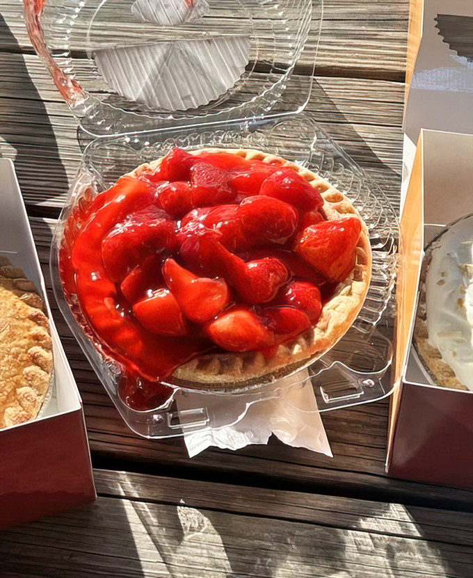 Summer captured in a crust—plump strawberries glisten like rubies atop cream filling, making this pie worth every napkin you'll need.