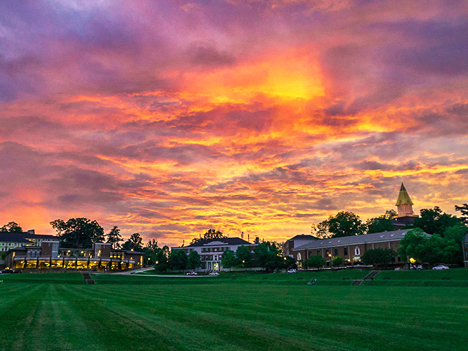 Mother Nature shows off with a sunset that turns the sky into cotton candy above Dahlonega's campus, nature's own farewell performance to the day.