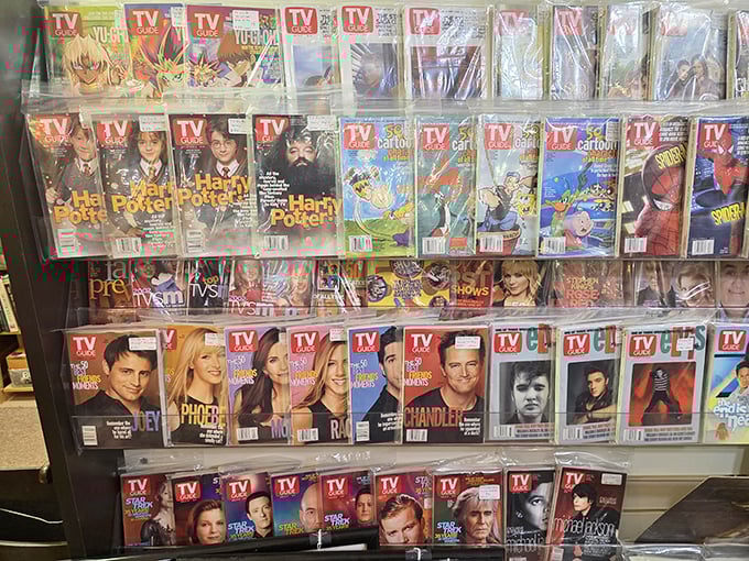 TV Guide covers—the Instagram of yesteryear. Friends, Harry Potter, and Robin Williams frozen in time, waiting to entertain us again.