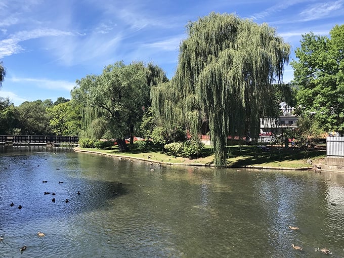 Talleyrand Park's weeping willows and duck-dotted waters create the perfect backdrop for contemplating life's big questions—or just enjoying ice cream.