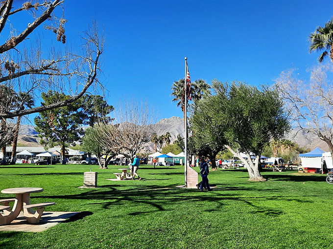 The town circle – Borrego's version of Central Park, where desert dwellers gather under palm trees instead of skyscrapers.