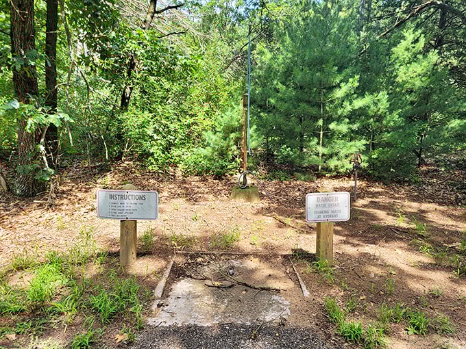 Nature's instruction manual: minimal text, maximum adventure. The forest's version of "you are here" never needed GPS.