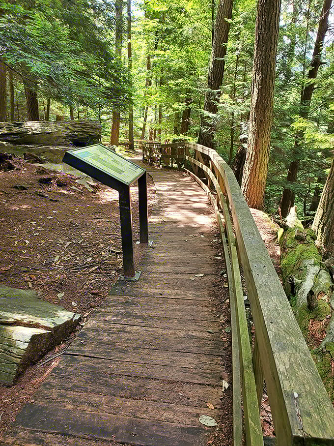 The wheelchair-accessible boardwalk proves Mother Nature doesn't discriminate—she wants everyone to experience her greatest hits album of trees, rocks, and rushing water.