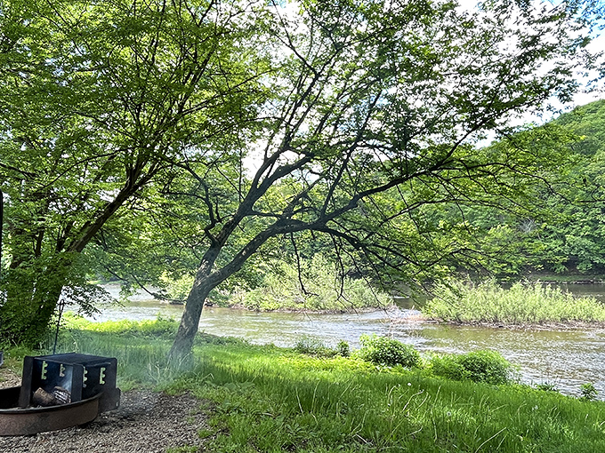 A riverside fire ring and the gentle flow of water—nature's version of dinner and a show, minus the overpriced tickets.