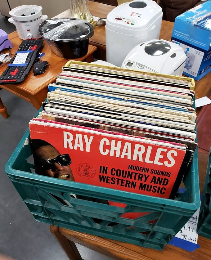 Vinyl treasures await the patient digger. That Ray Charles album isn't just music—it's a time machine for less than a streaming subscription.