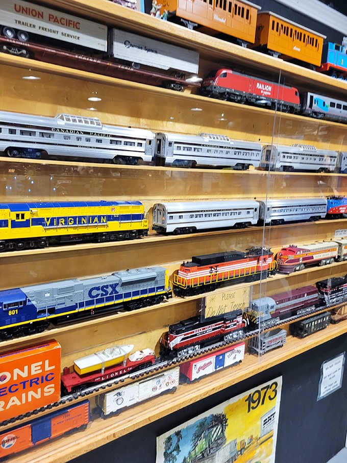 Model train heaven on wooden shelves. From Canadian Pacific's elegant silver to CSX's bold blue, it's a rainbow of railroad history behind glass.