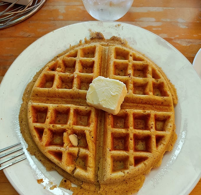 A waffle so perfectly golden and geometrically satisfying, it could make mathematicians and foodies equally weak in the knees.