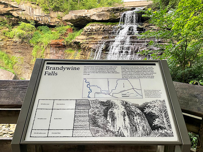 Knowledge enhances beauty. This interpretive sign reveals the geological story behind the falls – like getting the director's commentary on nature's masterpiece.