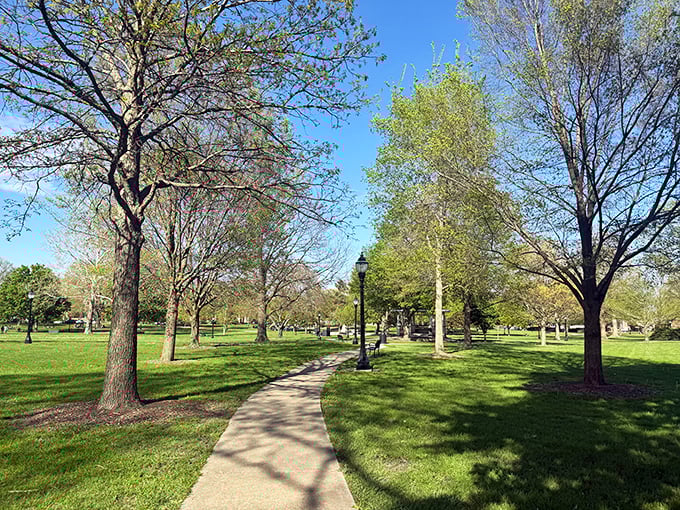 A tree-lined path that beckons like the dessert menu at your favorite restaurant – impossible to resist and worth every step.