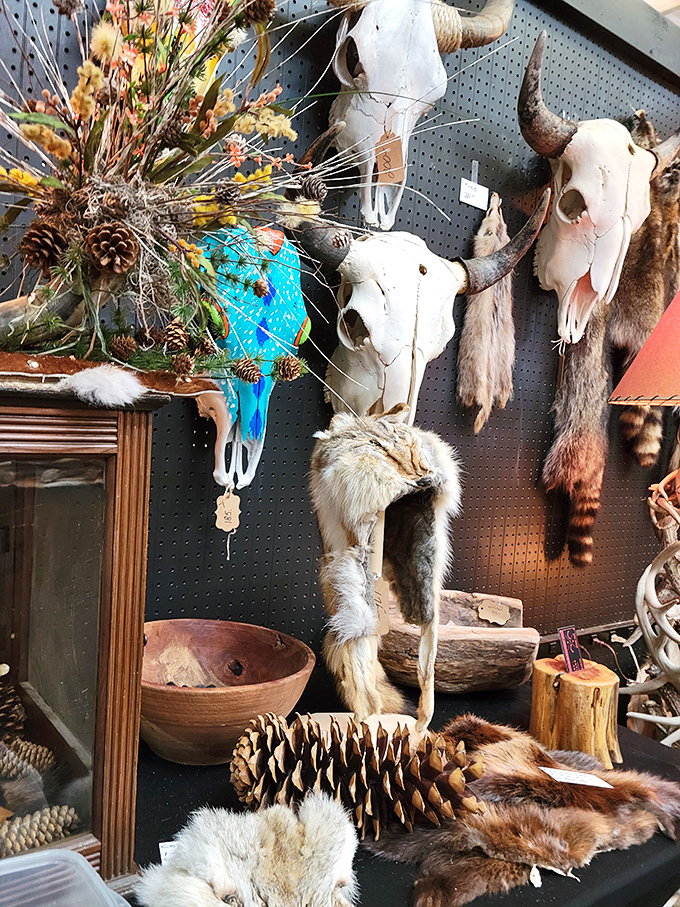 Where else can you find a painted blue buffalo skull alongside fur hats and wooden bowls? The perfect décor for those who find Pottery Barn too predictable.