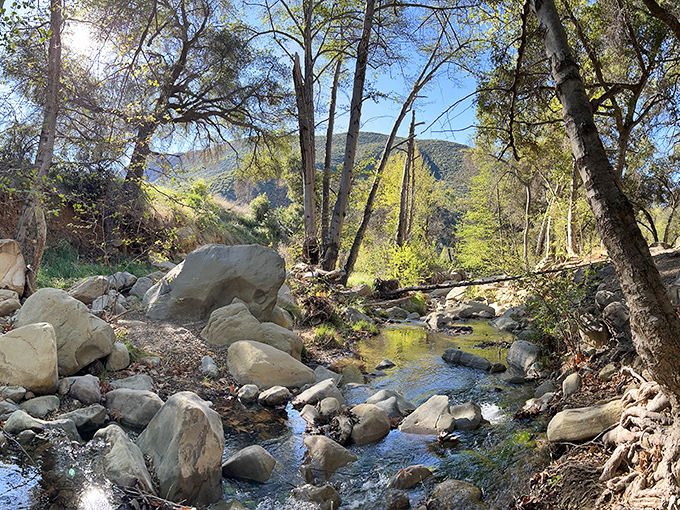 Wheeler Gorge's babbling brook performs nature's original podcast – no subscription required, just the willingness to sit and listen awhile.