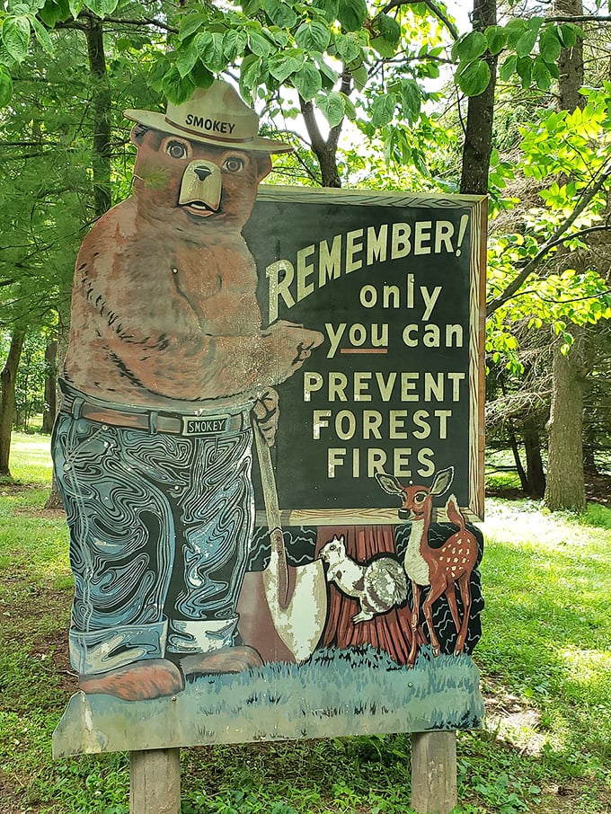 Smokey Bear: the original influencer. Before hashtags existed, he was already telling us what was hot and what's not.