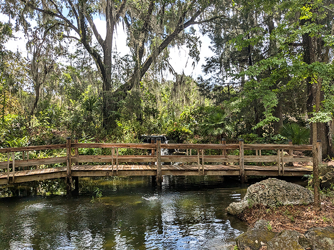 This wooden bridge isn't just crossing water—it's connecting you to memories waiting to be made on the other side.