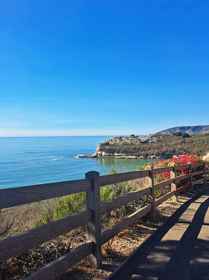 That wooden fence isn't just practical – it's nature's picture frame for one of California's most Instagram-worthy coastal views.
