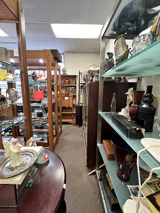 Glass cases protect delicate collectibles while showcasing them like museum pieces—except here, you can actually take them home.