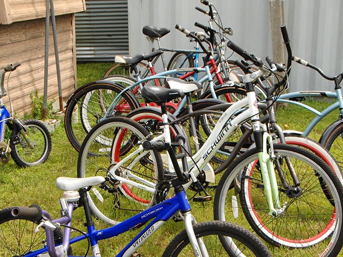 Bicycle bazaar! From beach cruisers to mountain bikes, this collection offers wheels for every Florida adventure, no spandex required.