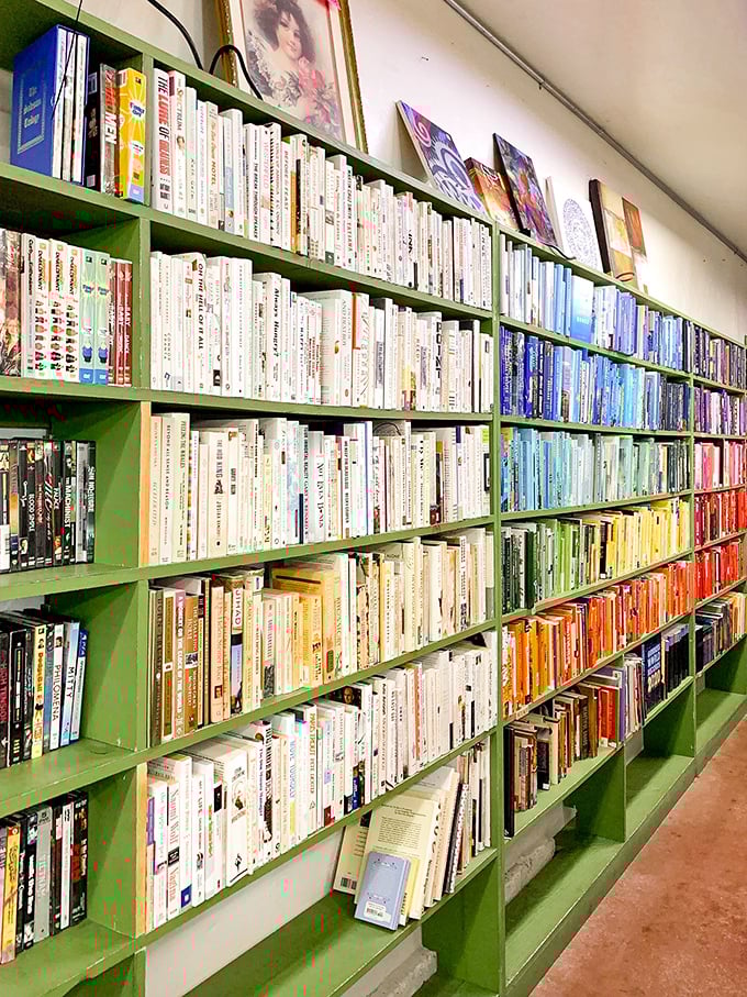 The color-coded book section would make any librarian swoon—a rainbow of literary possibilities organized with unexpected precision.