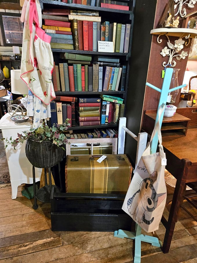Books that survived decades before Amazon existed share shelf space with vintage luggage that knew travel when it required proper attire.