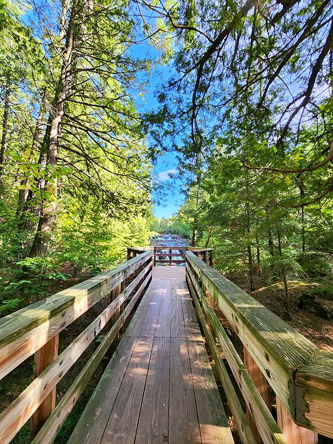 Not all who wander are lost, especially on this perfectly crafted wooden bridge. Nature's cathedral ceiling opens above as you cross.
