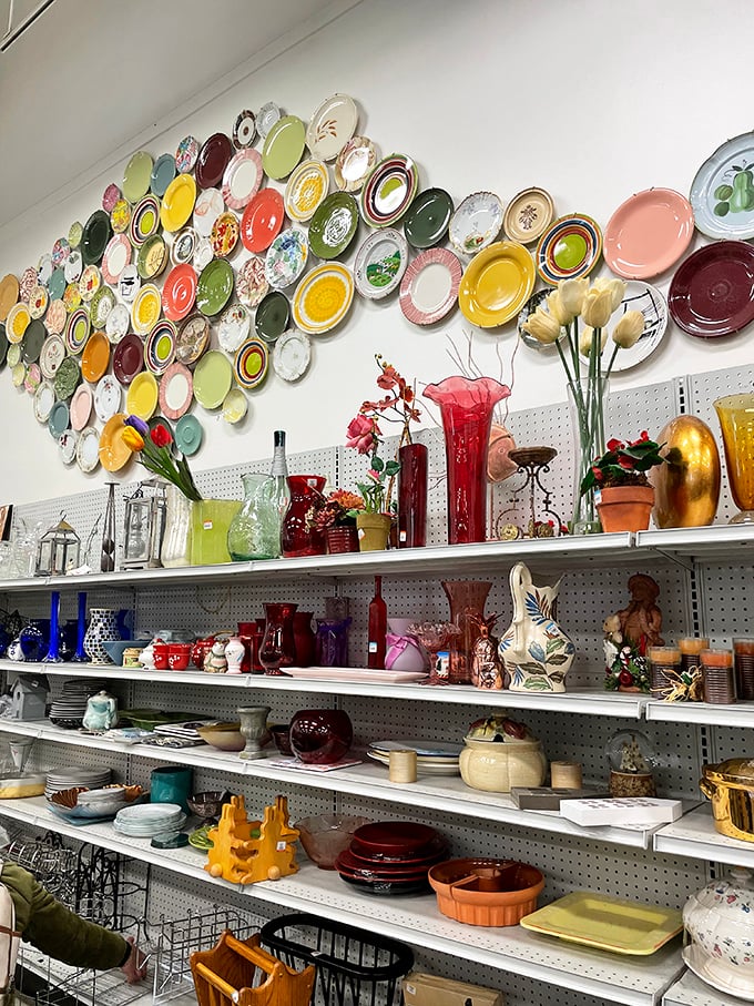 The plate wall installation transforms ordinary dishware into extraordinary art. One person's rejected dinnerware becomes another's Instagram-worthy home decor.